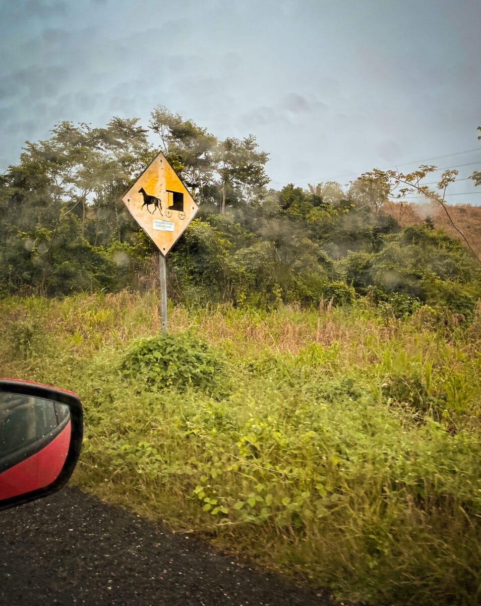 Driving in Belize: Useful Tips And Information - The Marvelous Travelers